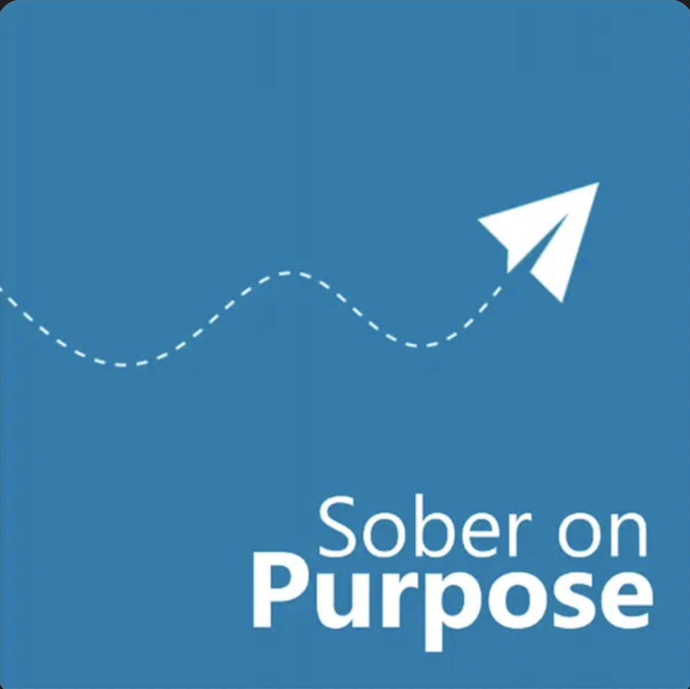 Healing Our Kids: A Parent's Journey Through Childhood Trauma - Sober on Purpose - Healing ...
